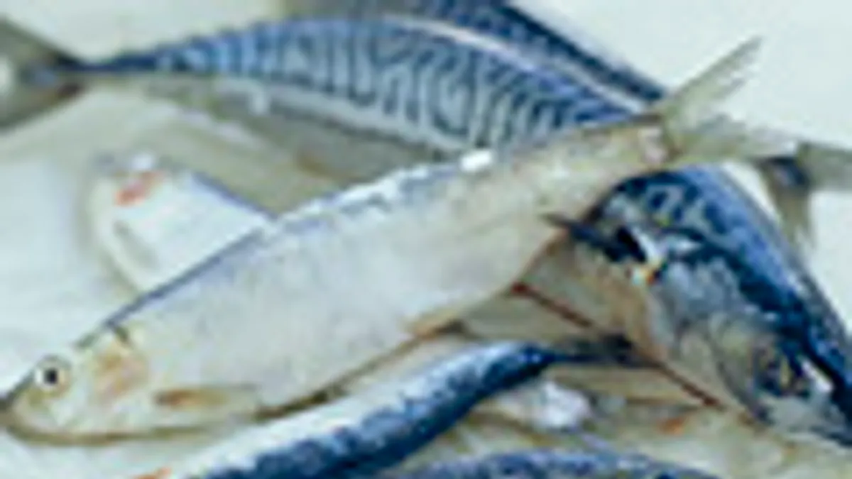 A hal nem szálkás, csak higany van benne - ORIGO