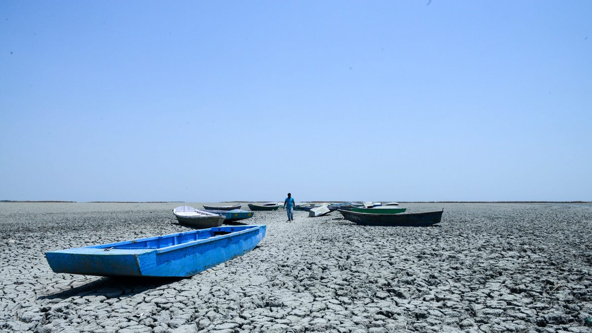 Már csak a nagy esők segíthetnek Indián - ORIGO