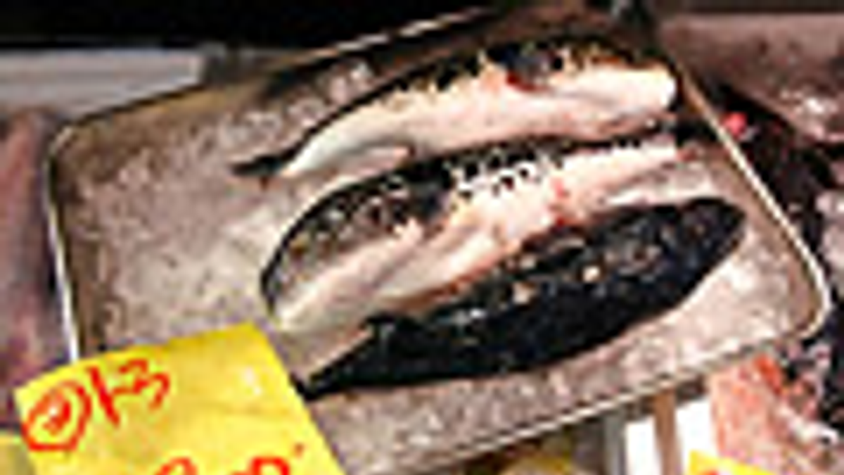 Cuki a gömbhal, csak megöl - ORIGO