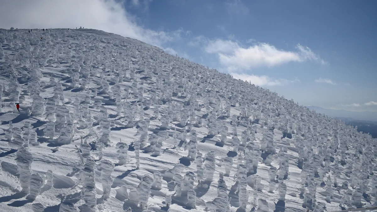 Hószörnyek a japán Zao-hegy oldalán - ORIGO