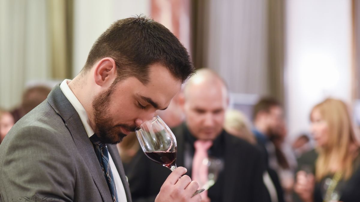 Az üzletkötés mennyországa- Business Wine - ORIGO