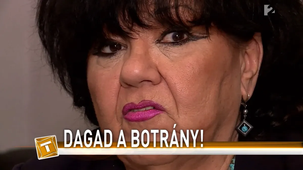 Fradista állatvédők razziáztak a tömeges állatkínzással vádolt ...