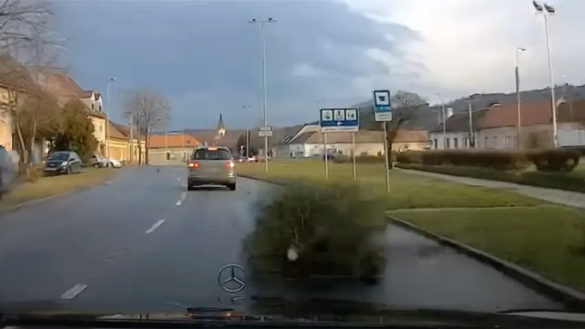 Ilyen pech a világon nincs: pont a kocsija elé fújt a szél egy kidobott ...