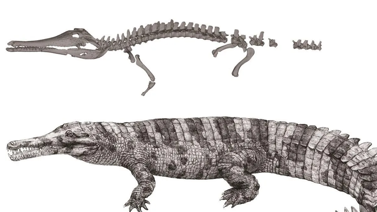 Egy több ezer éve kihalt faj átírhatja a krokodilok történetét - ORIGO