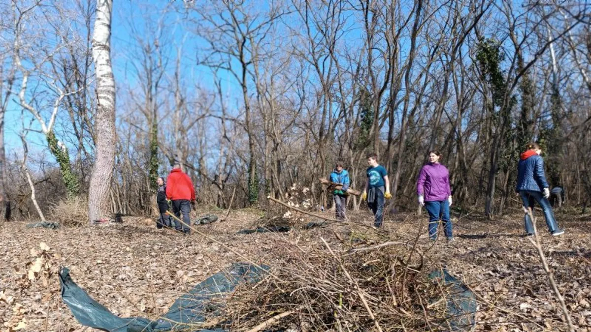 Beszámoló Homoktövis Természetvédelmi Területen végzett ...