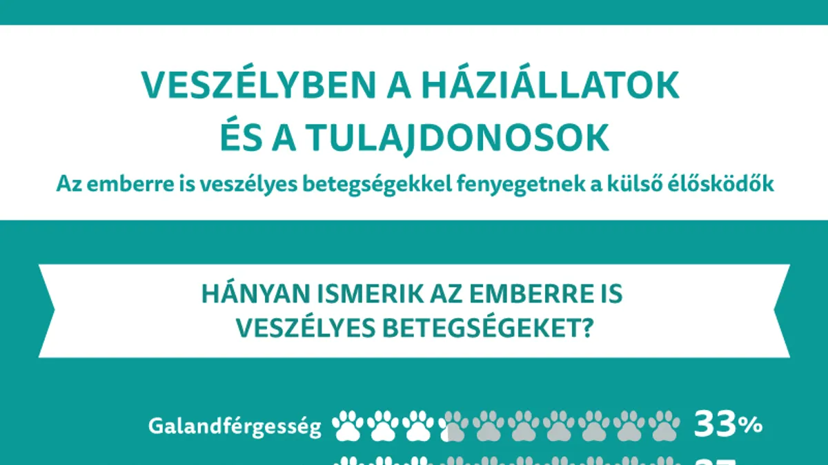 Emberre is veszélyesek a házi kedvencek élősködői - ORIGO