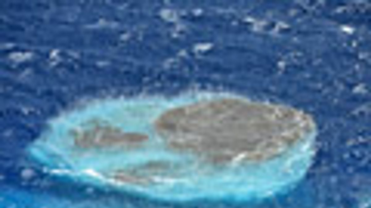 Valami történik a mélyben a Kanári-szigeteknél - kép - ORIGO