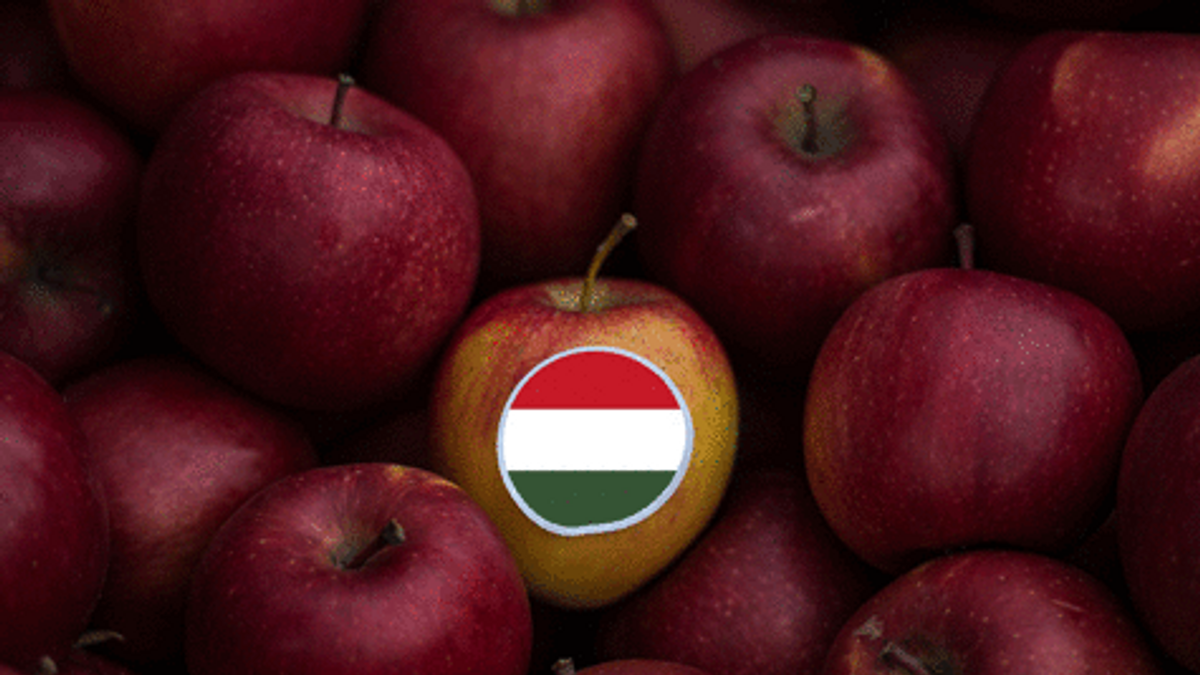 Már a téli mínuszok alatt is terem a magyar alma - ORIGO