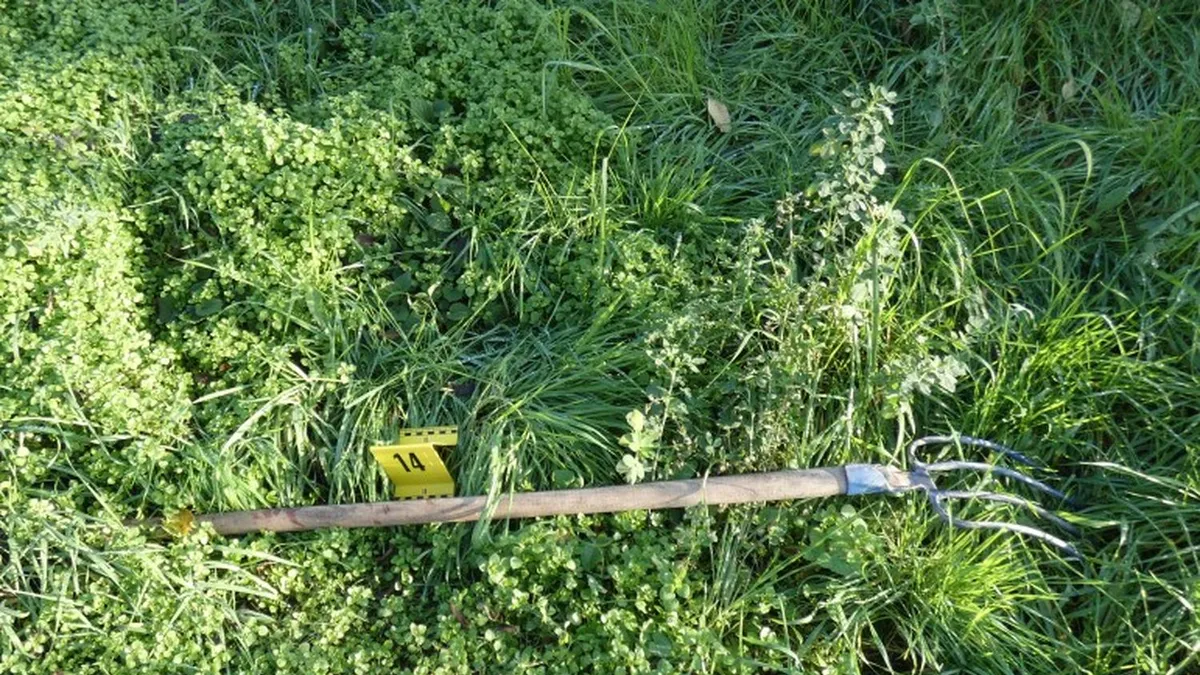 Vasvillával támadt rokonaira egy tiszalöki apa a fiával együtt - ORIGO