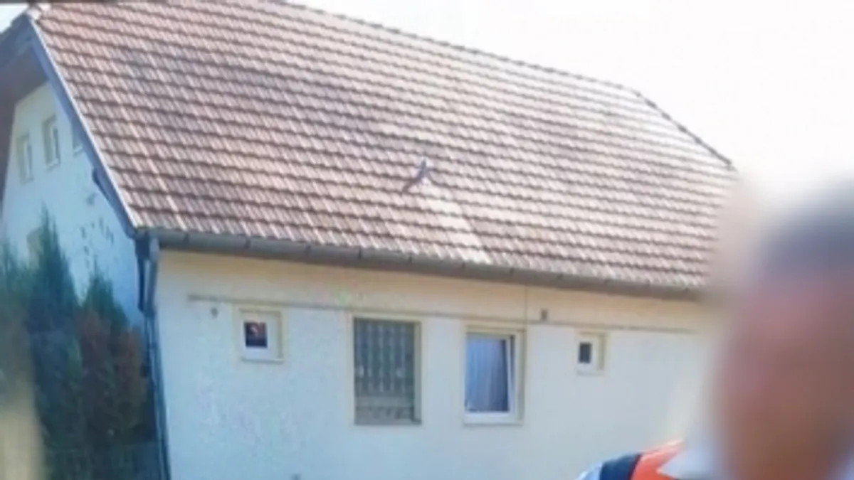 Siklót találtak egy nevelőotthonban - ORIGO