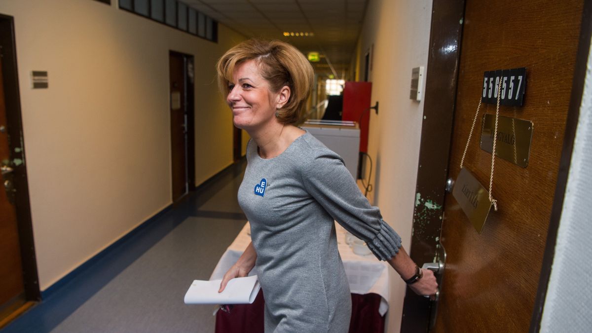 A kampányfinisben előkerült a 3 millió magyart lepatkányozó Bangóné Borbély Ildikó - ORIGO