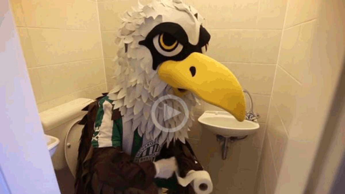 Csajozik, gyúr és villamosozik az új Fradi-sas - ORIGO