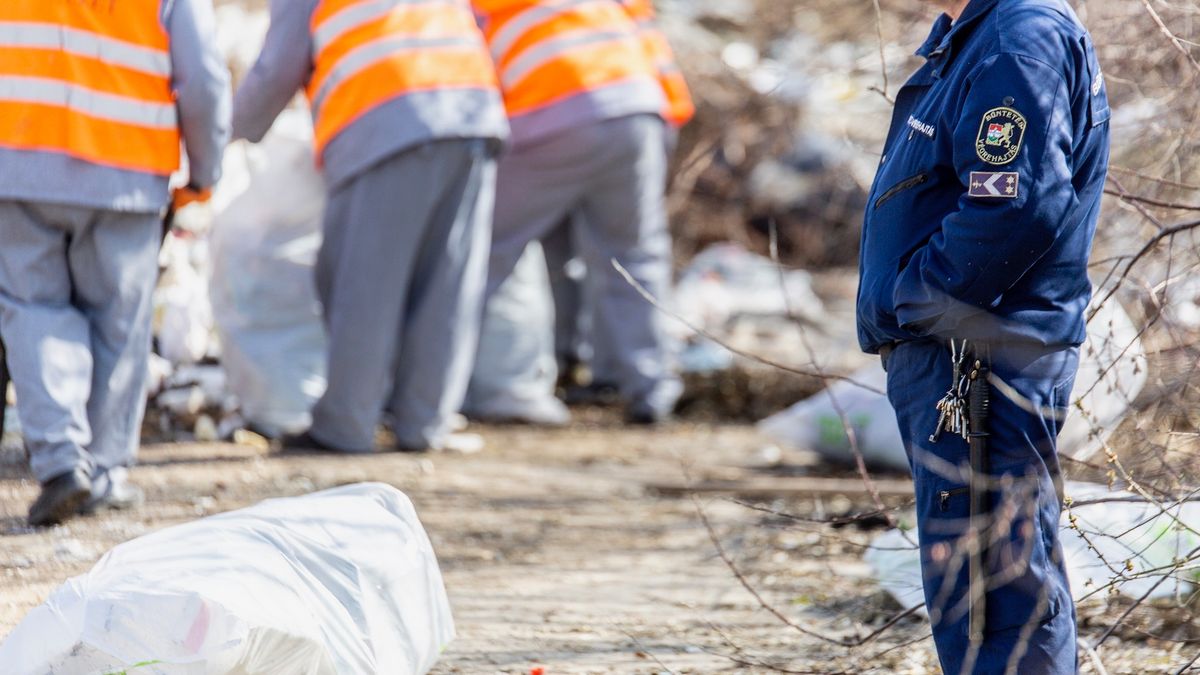 TeSzedd! – A rabok is szedik a szemetet - ORIGO