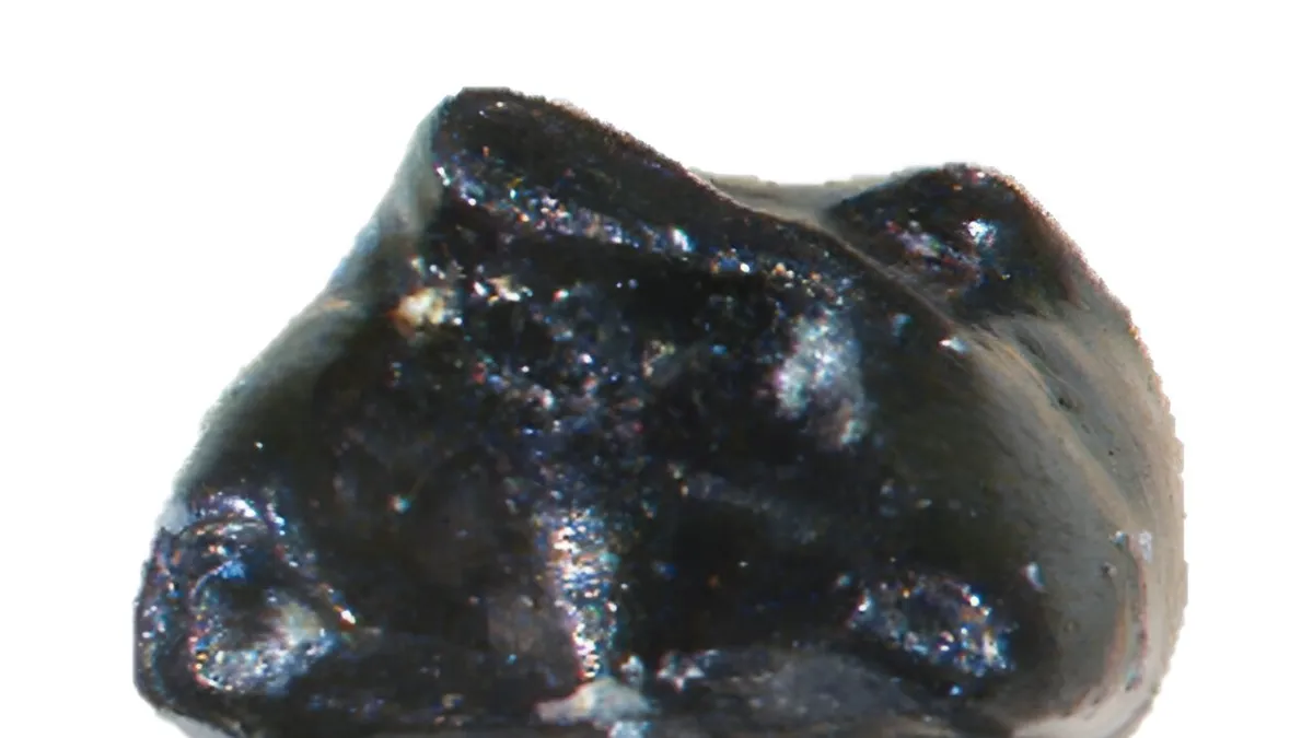 Egy kis egér túlélte a sarki hideget a dinoszauruszok korában - ORIGO