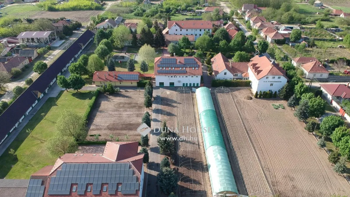 Bor- és pálinkamúzeum is kapható az ingatlanpiacon - ORIGO