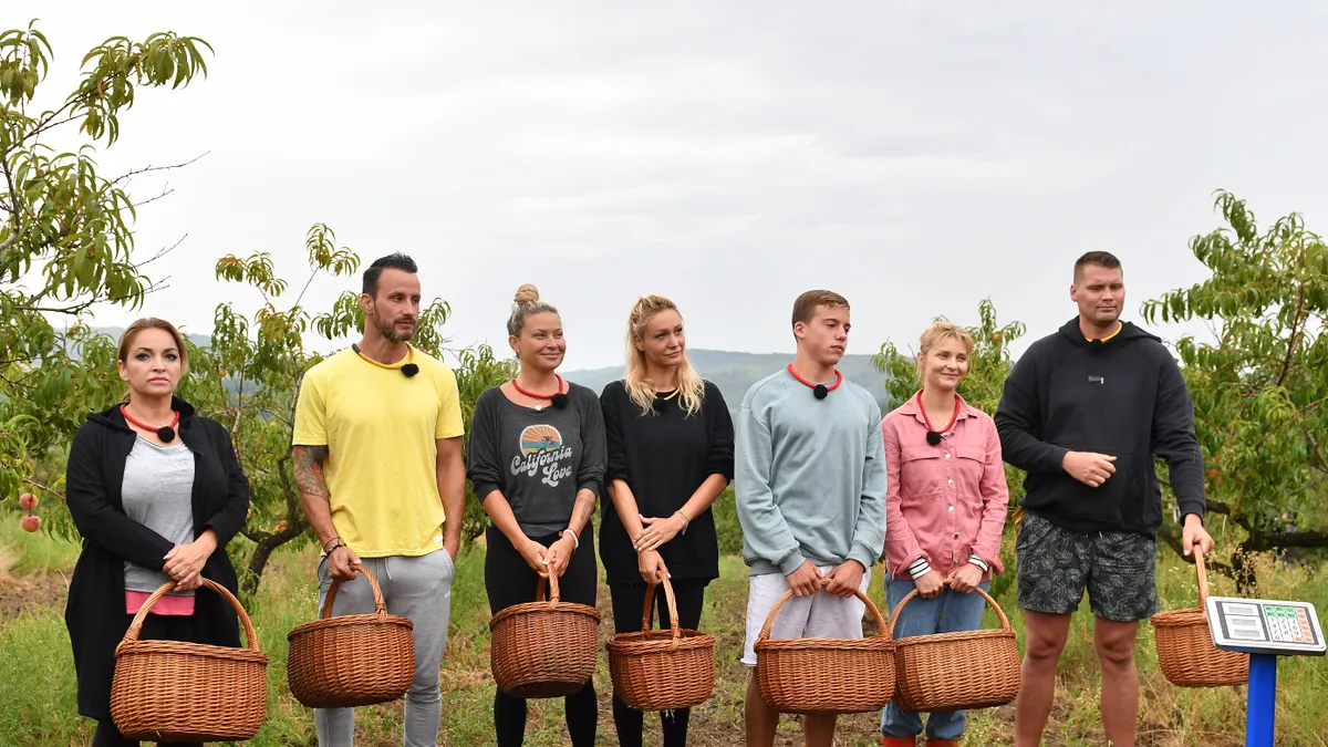 Erre költenék a nyereményt a Farm VIP játékosai - ORIGO