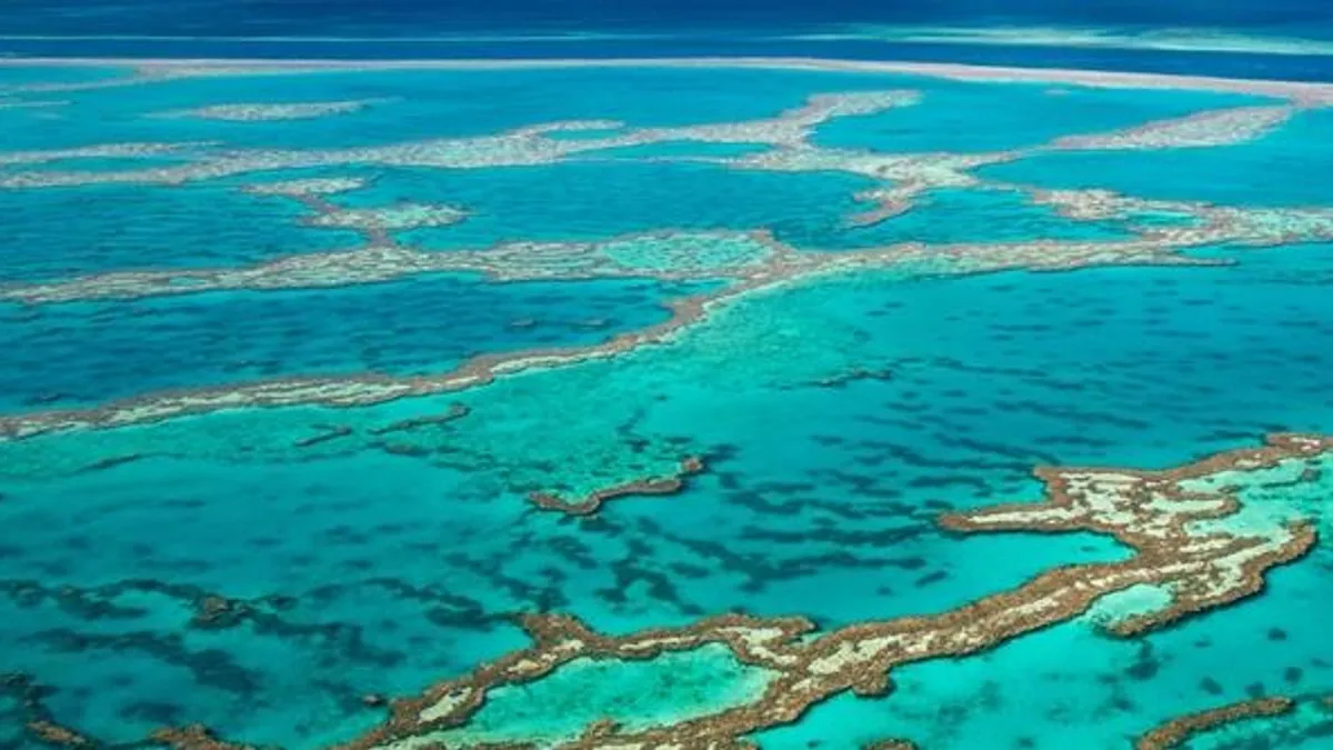 A tengeri tápláléklánc összeomlását jósolják a szakemberek - ORIGO