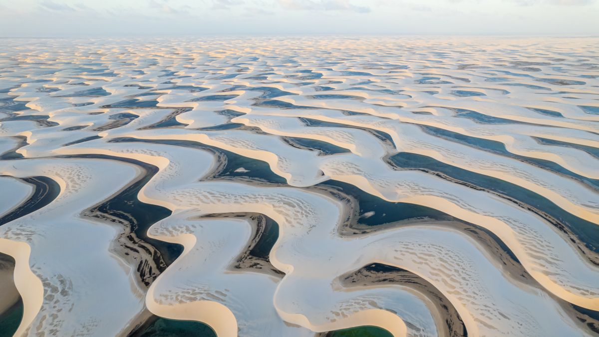 Folyamatosan vándorolnak Brazília apró tavacskái - ORIGO