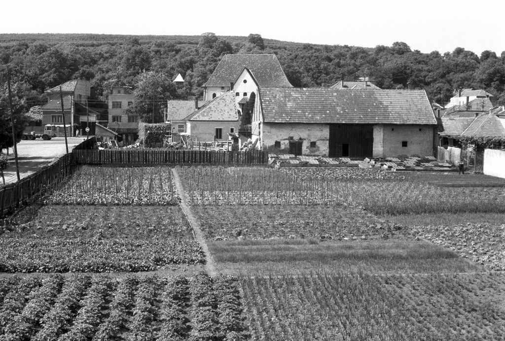 Feleki Károly - Hóstát - ORIGO