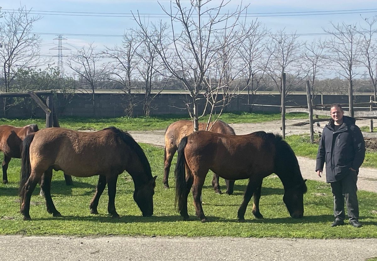Huculösvény 2024: Ismét Szigetcsépre várják az ősi magyar kislófajta szerelmeseit - ORIGO