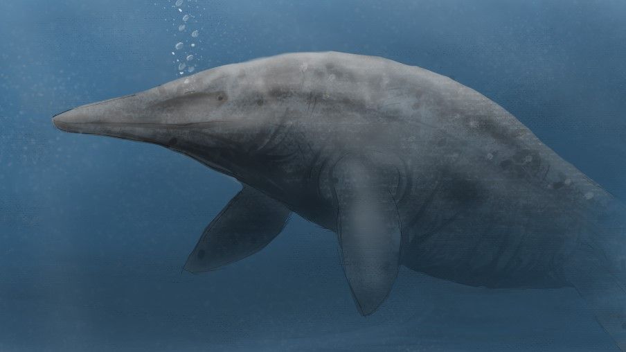 Rettenetes szörnyeket találtak - ORIGO