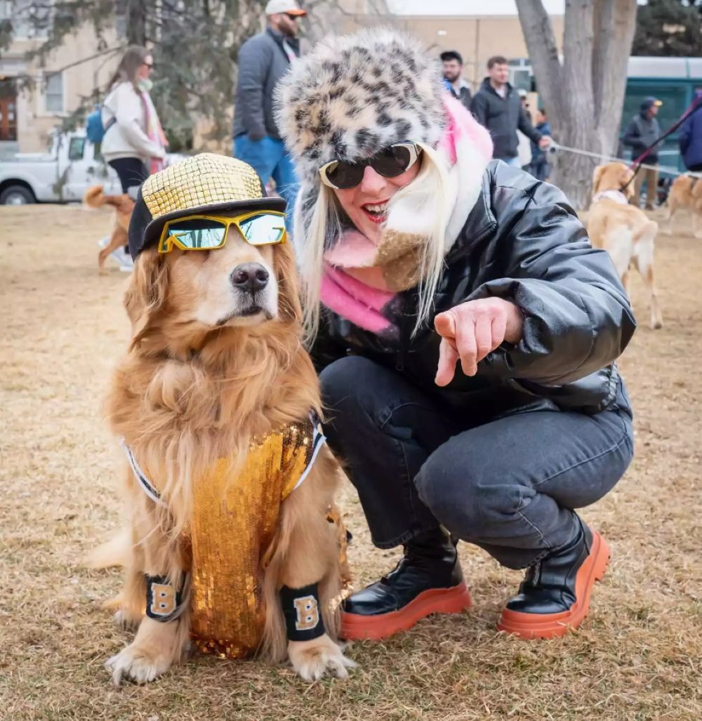 Ha golden retriever fajtájú kutyája van, ide egyszer el kell jönnie - ORIGO