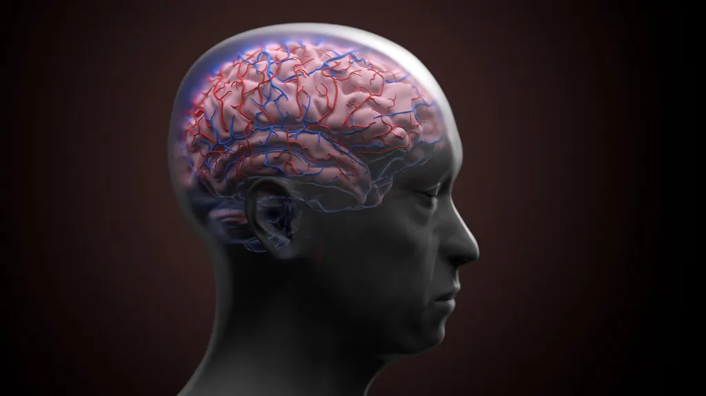 Agy öregedése a középkorúaknál gyorsul fel - ORIGO