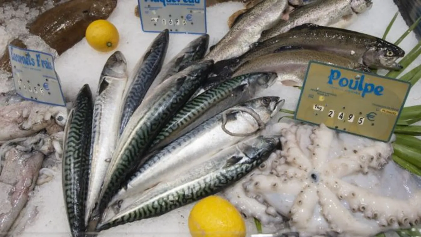 Metil higany | origo.hu