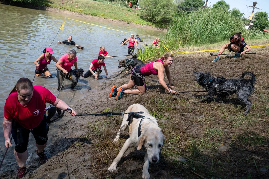 Kaland, nevetés és önfeledt játék – Mud Dog Race 2025 – galéria - ORIGO