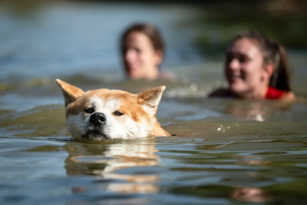 Kaland, nevetés és önfeledt játék – Mud Dog Race 2025 – galéria - ORIGO