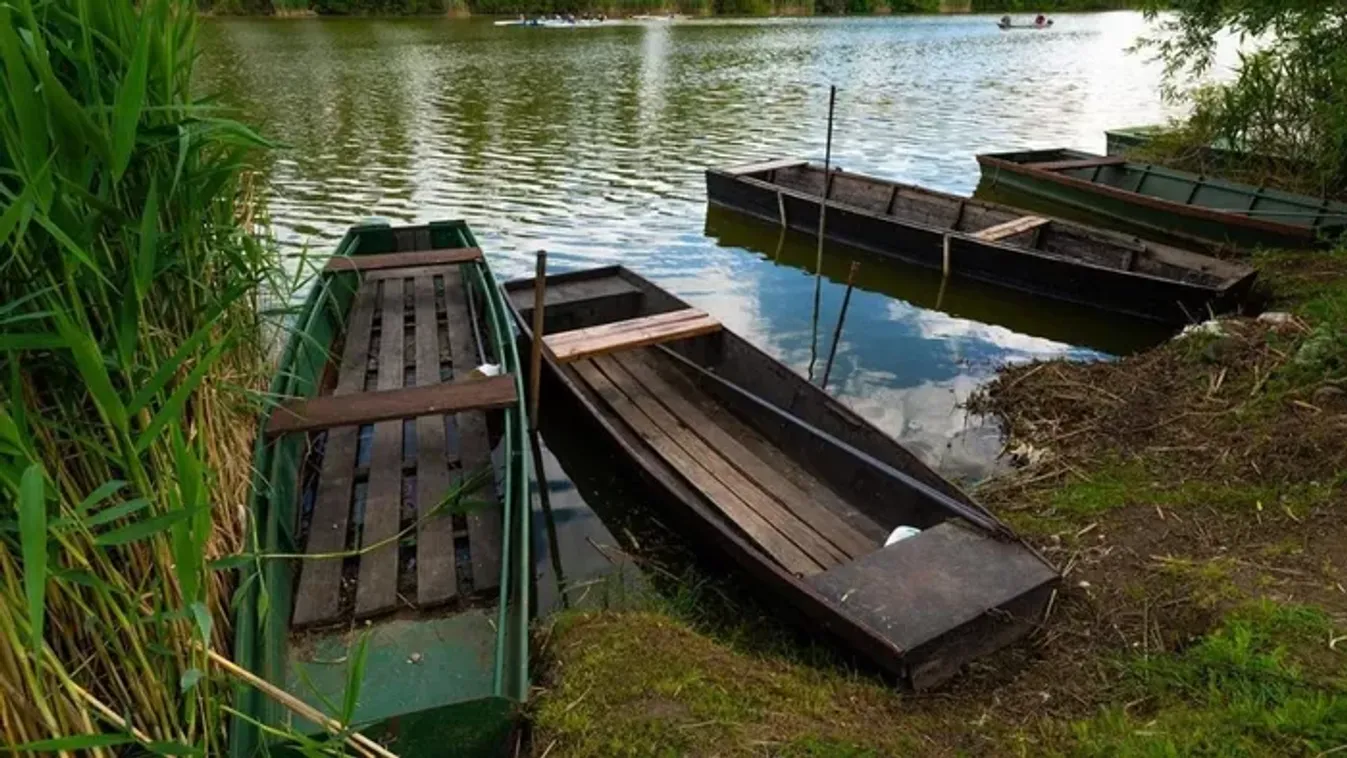 Árhullámok | origo.hu