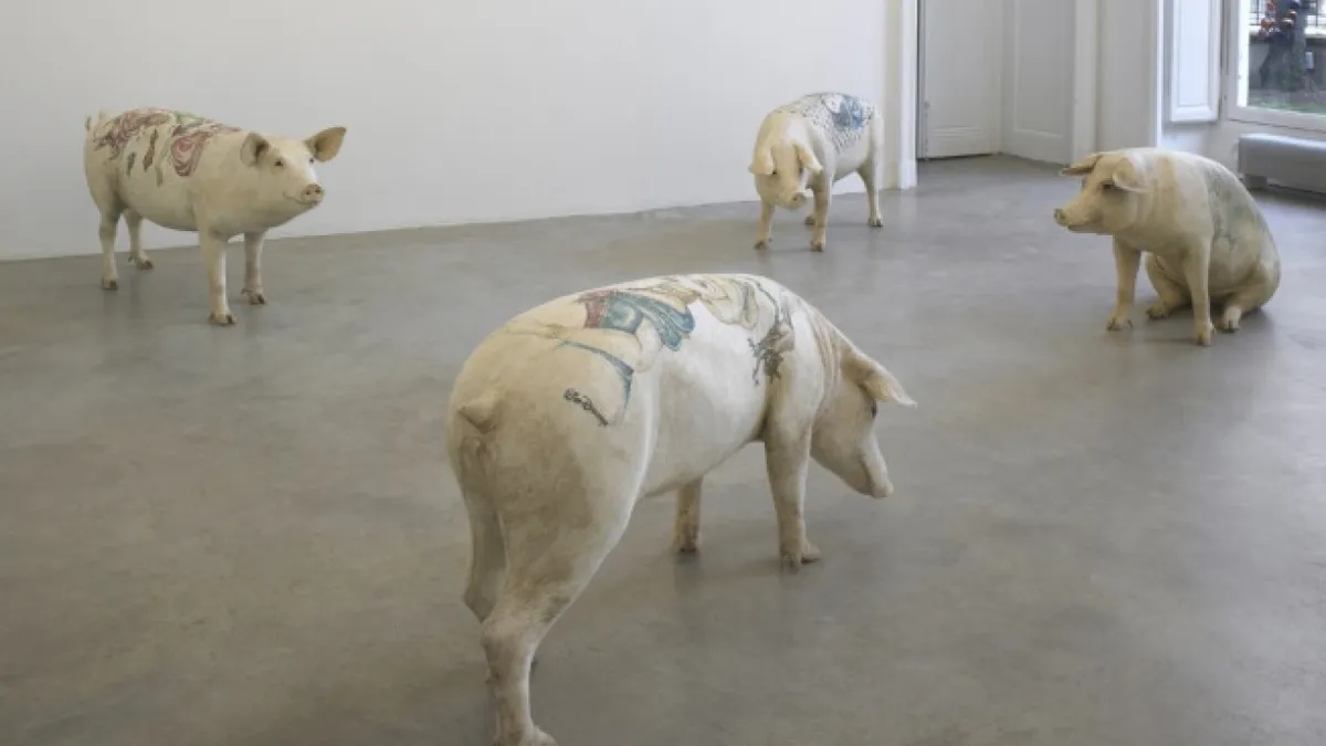 Cloaca és Art Farm: így provokál a belga művész - ORIGO