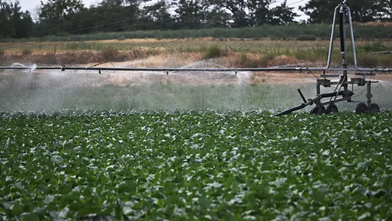 Szervestrágyázás | origo.hu