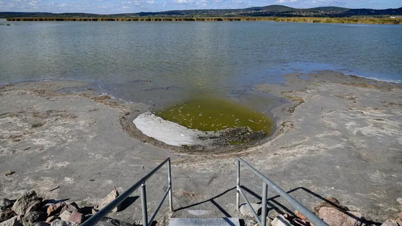 Meder alja | origo.hu