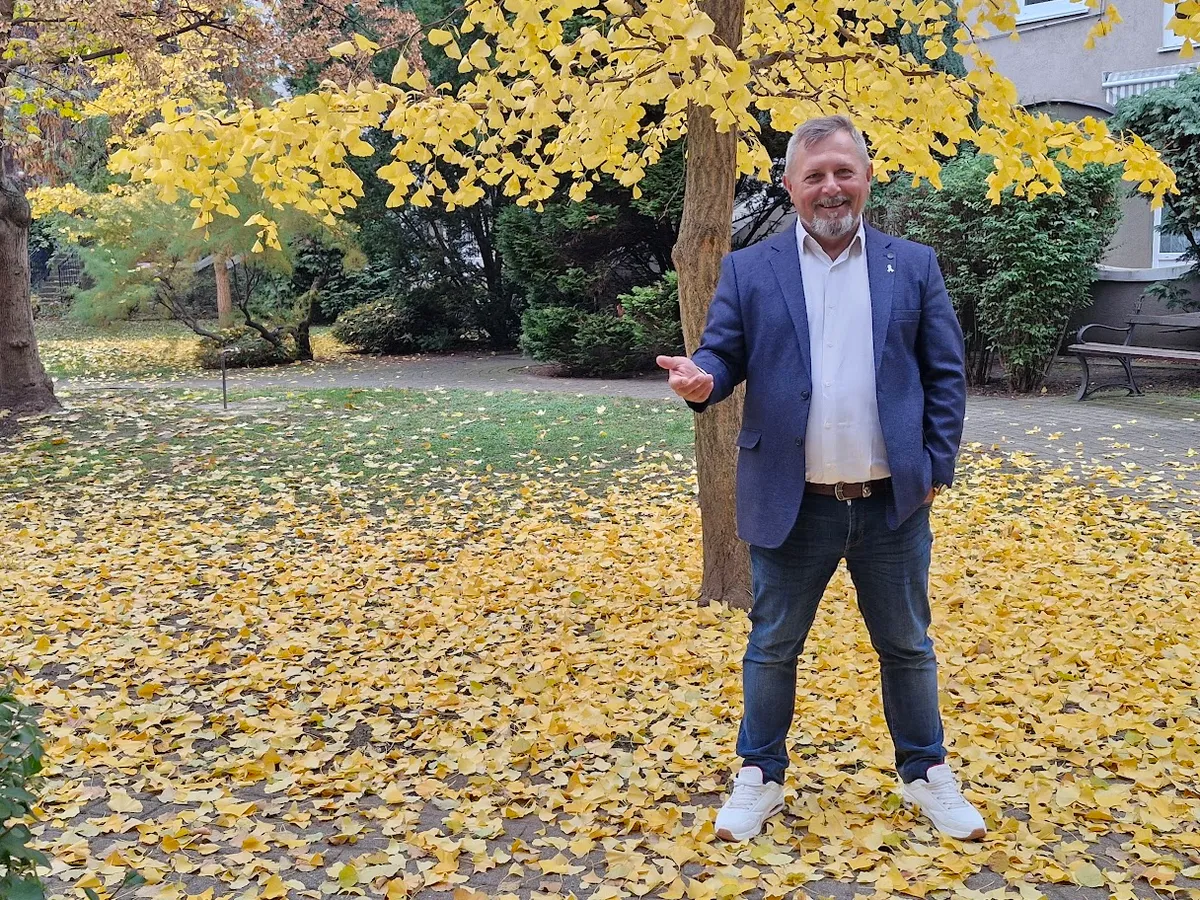 A traumák a testünkben rejtőznek? - ORIGO