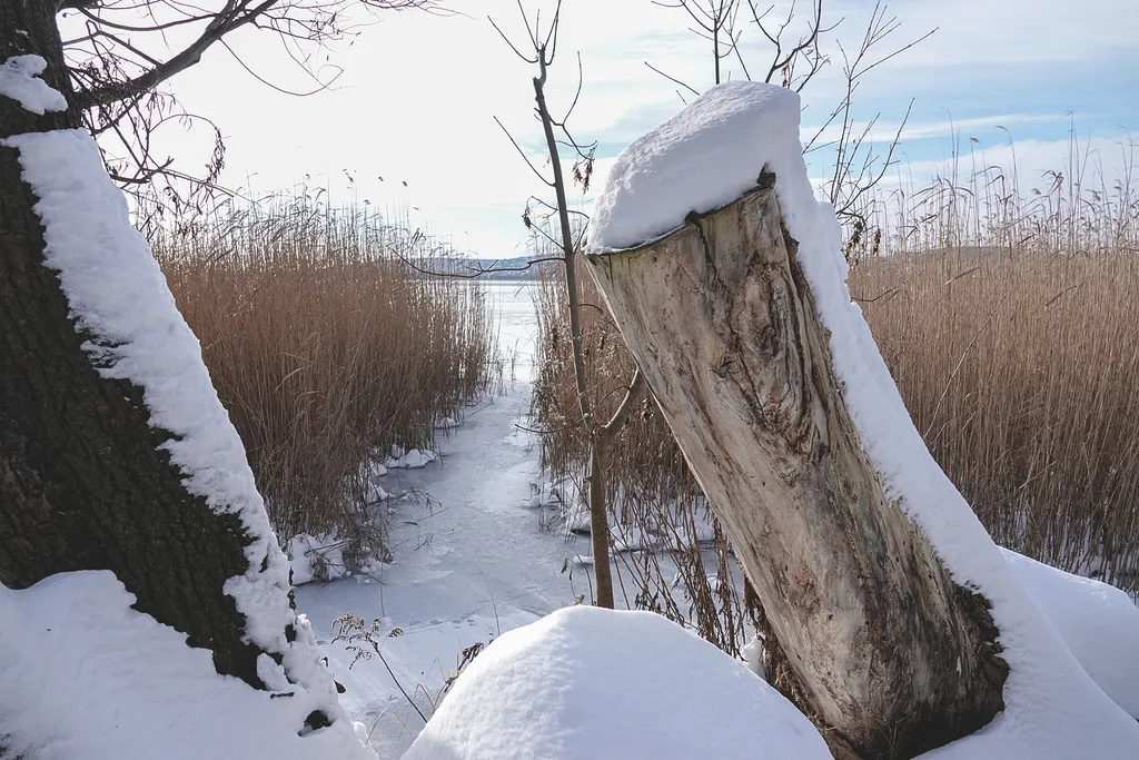 Balaton: lenyűgöző fotókon a jeges tó - ORIGO