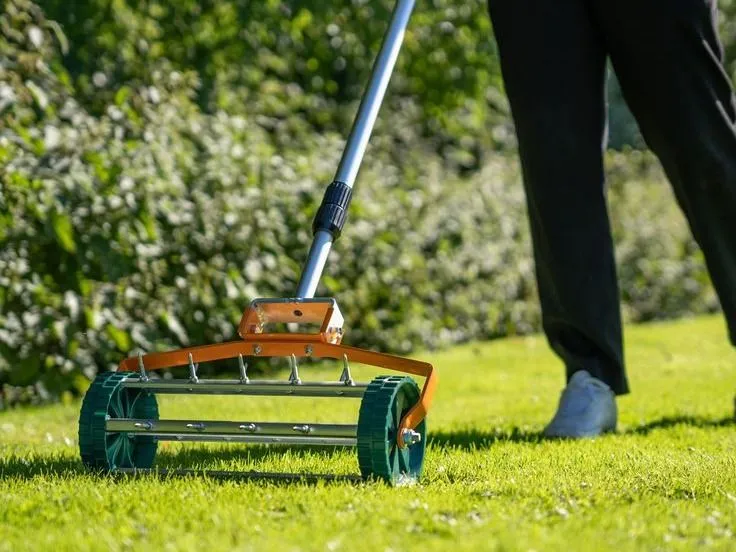 Gyepszellőztetés: ezért nem ajánlott márciusban elvégezni - ORIGO