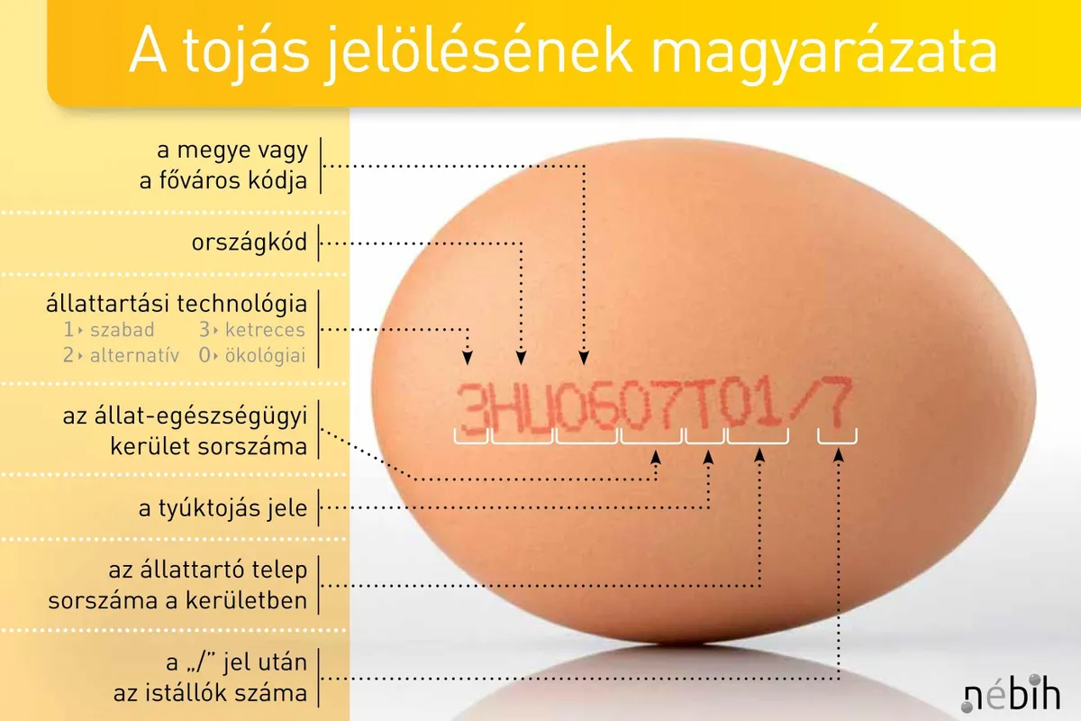 Nem fogja elhinni, mit jelent a szám a tojás héján - ORIGO