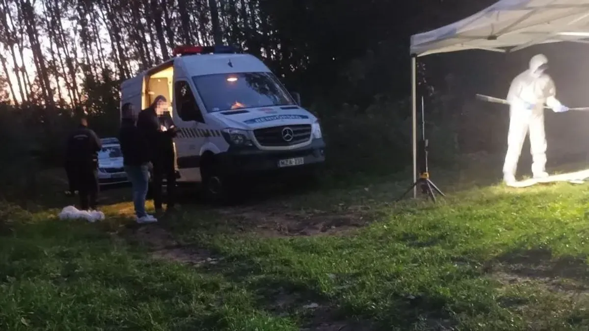 Végre pont került a sóstói brutális gyilkossági ügy végére - ORIGO