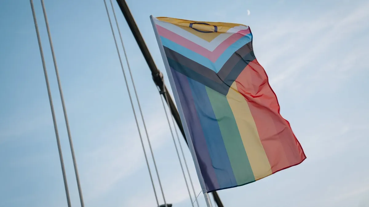 Elfogták az Erzsébet hídról pride-zászlókat Dunába dobó férfit - ORIGO